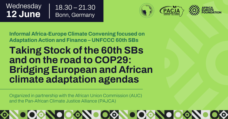 Areas of Action | Africa-Europe Foundation