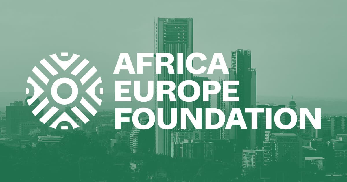 Areas of Action | Africa-Europe Foundation